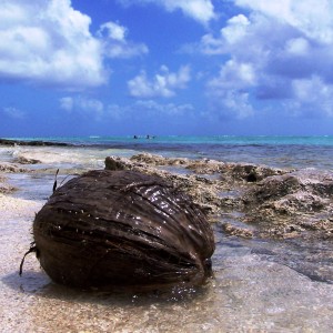 Softwareentwicklung | LINJAL-DIGITAL